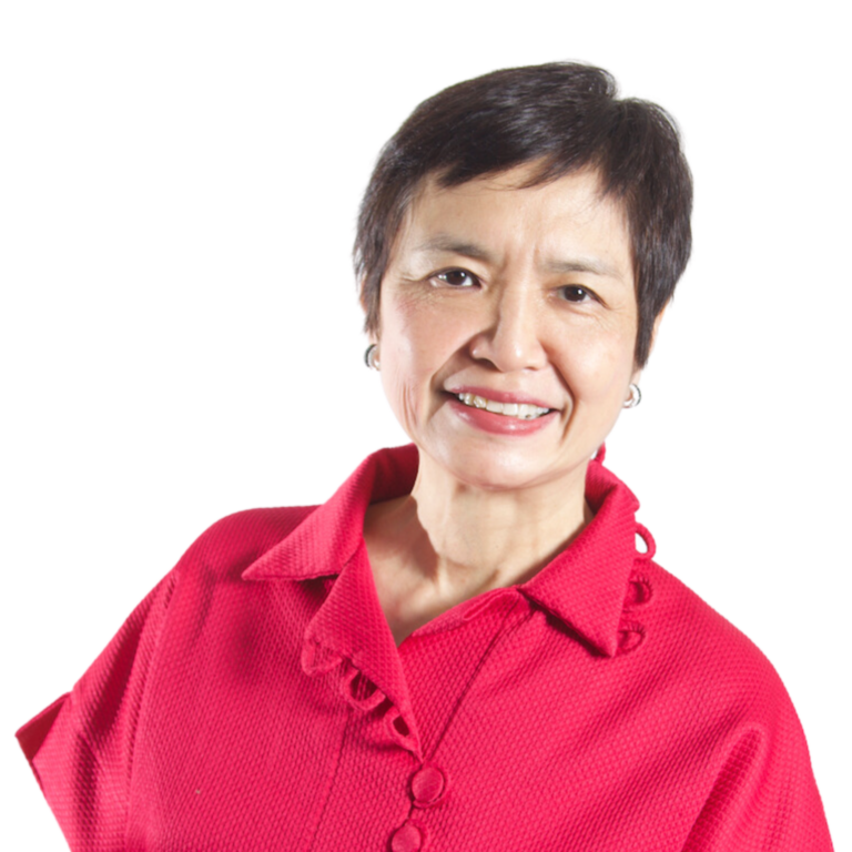 Robina Gokongwei Pe - Robinsons Retail Holdings, Inc.